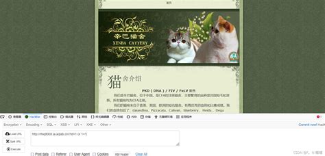封神台在线靶场 尤里的复仇Ⅰ 小芳！【8题】 萌新也能找cms漏洞 csdn博客