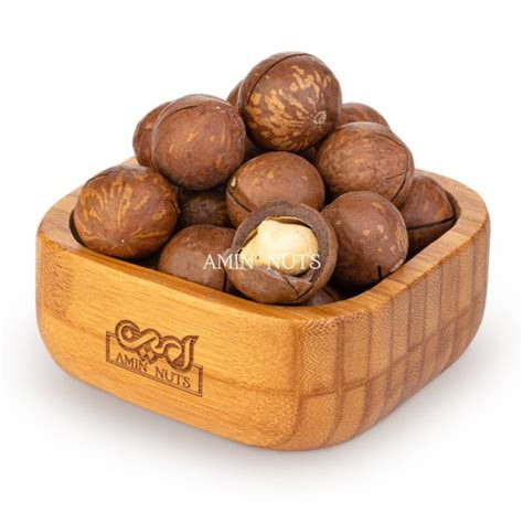 قیمت و خرید ماکادمیا فندق استرالیایی آجیل امین