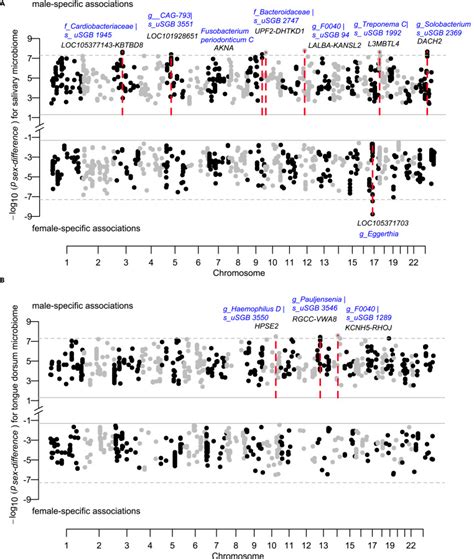 Sex Differences In The Oral Microbiome Host Traits And Their Causal