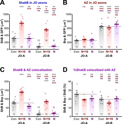 Quantification Of Shakb And Az Colocalization Quantification Of Data
