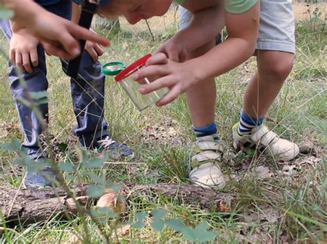 Kinder werden mit Allianz und WWF auch wieder zu Naturentdeckern Allianz für Kinder