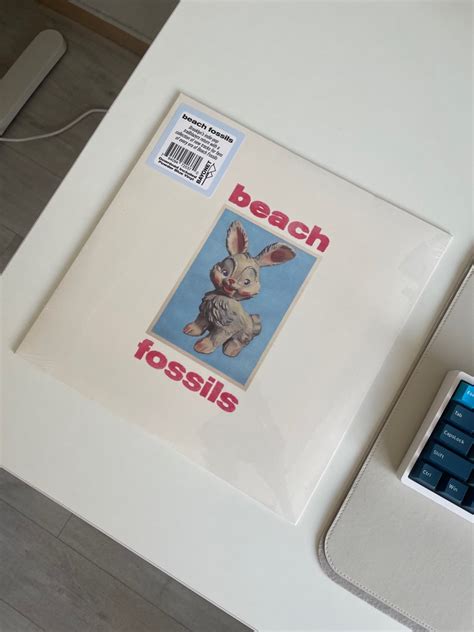 Beach Fossils Bunny Powder Blue Coloured Lp Recorf Vinyl Hobbies And Toys Music And Media