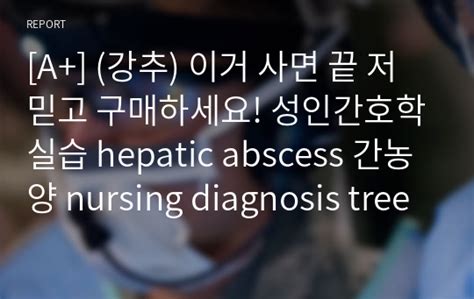 A 강추 이거 사면 끝 저 믿고 구매하세요 성인간호학실습 Hepatic Abscess 간농양 Nursing