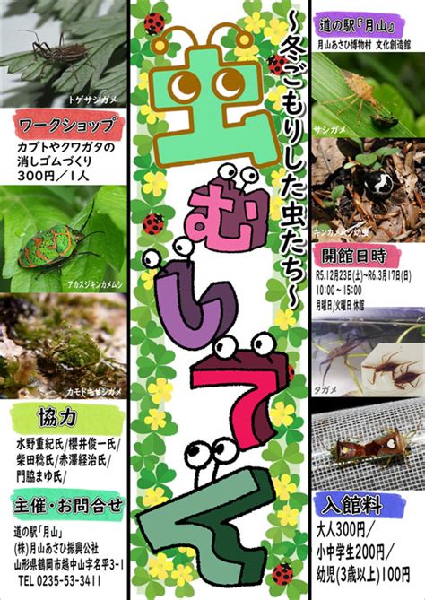 ～冬ごもりした虫たち～「虫むしてん」 あさひむら観光協会イベント情報