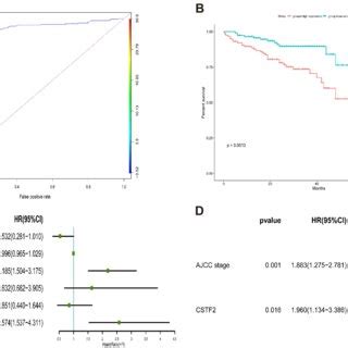 Diagnostic And Prognostic Values Of Cstf In Hcc Based On The Icgc
