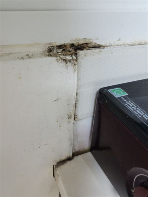 보증금 반환 후 이사비용 및 부동산 중개료 청구 소송 ㅣ 궁금할 땐 아하