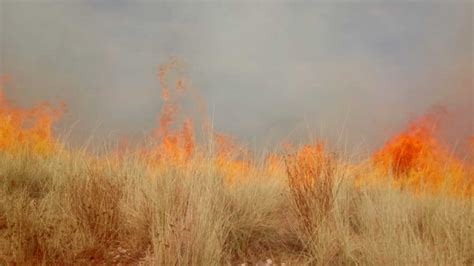 Alertas De Incendios Forestales Se Duplican En Comparación Al 2021