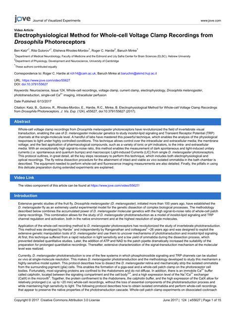 Pdf Electrophysiological Method For Whole Cell Voltage Clamp