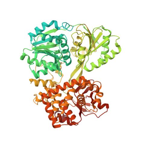 Rcsb Pdb 7dcq Cryo Em Structure Of The Deah Box Helicase Prp2
