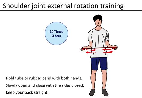 Internal And External Forearm Rotation Physio Visuals Illustrated