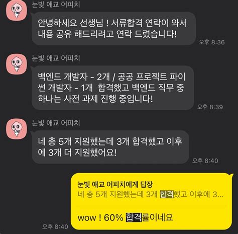It 개발자 이력서 포트폴리오 첨삭 크몽