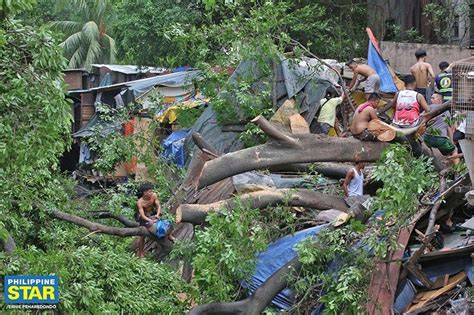 Bahay Nabagsakan Ng Puno Ng Balete 3 Patay Pang Masa
