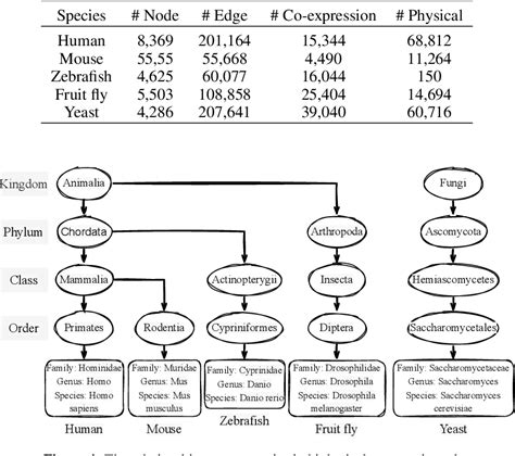 Figure 4 From Graph Domain Adaptation Via Theory Grounded Spectral