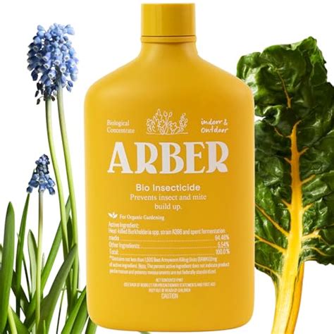 Top 5 Best Japanese Beetle Killer Organic Todays Featured Picks Of 2025