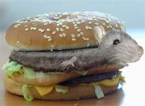 Mcdonalds Niega Estilo Ratatouille En Sus Hamburguesas Son 100 De