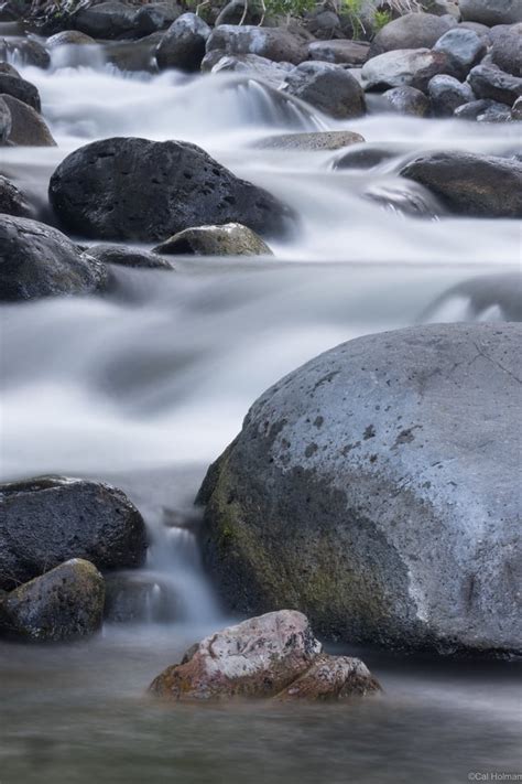 Grasshopper Point Usa