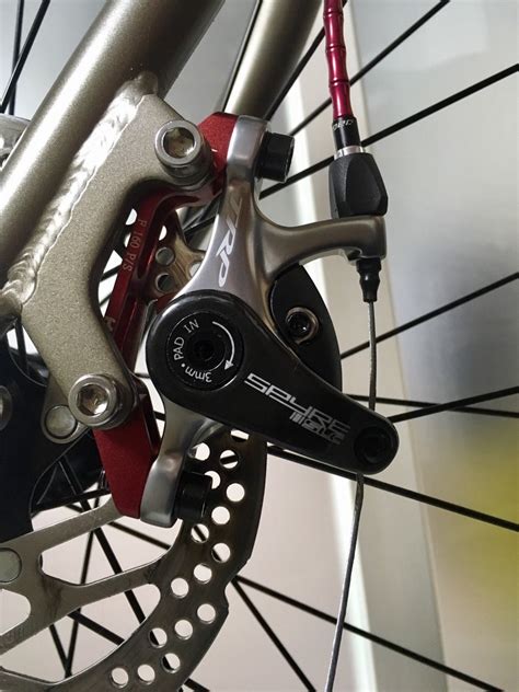 Bicycle — Trp Spyre Slc With Kcnc Is Adapter