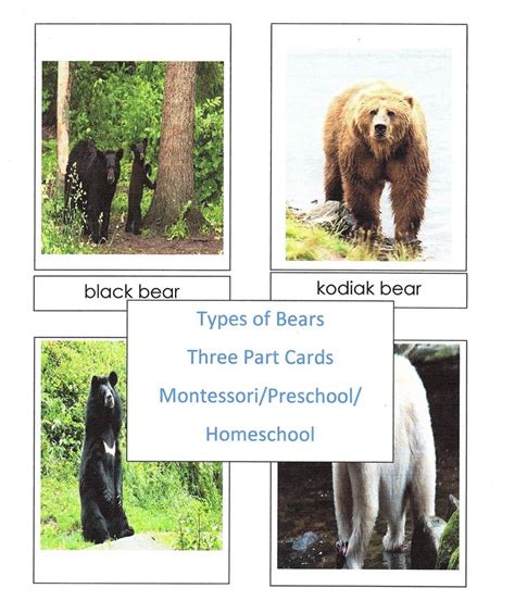Four Different Types Of Bears In Front Of Some Trees And Bushes With