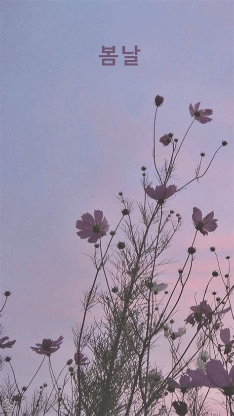 Aesthetic Cute Korean Wallpapers Wallpaper Cave