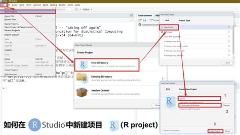 R Rstudio
