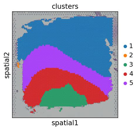 Tutorial 1 10x Visium Dlpfc Dataset — Denoisest 1 Documentation