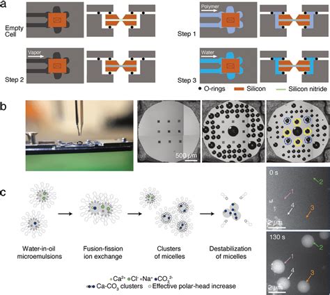 Advanced Ways Of Liquid Mixing A A Three‐step Solvent Mixing Method