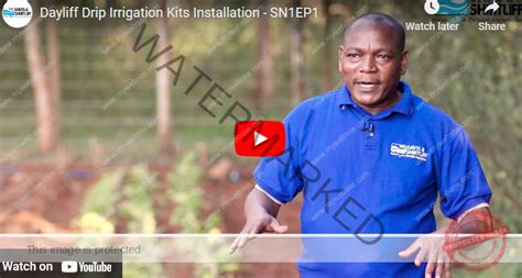 Drip Irrigation System Zambia