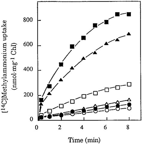 Time Course Of 14 C Methylammonium Uptake In Synechocystis Sp Pcc