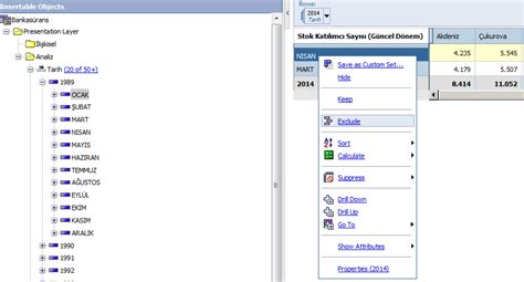 IBM Cognos Analysis Studio nun Özellikleri