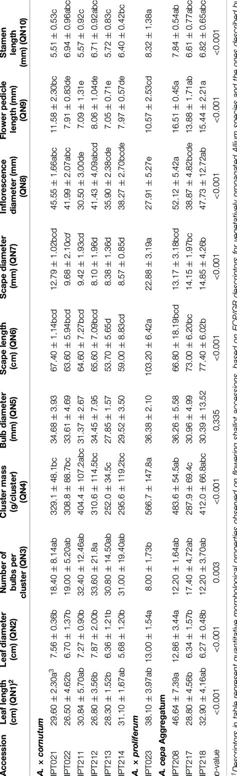 Vegetative And Generative Morphological Quantitative Descriptors 1 Of