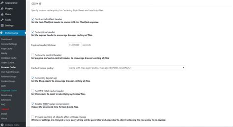 Complete Guide To W Total Cache Plugin Settings StylemixThemes