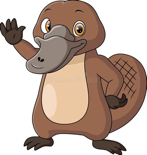 Platypus Cartoon Stock Illustrations 1 597 Platypus Cartoon Stock