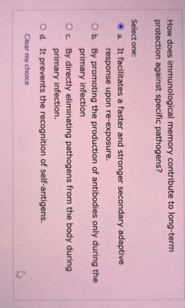 Solved How Does Immunological Memory Contribute To Long Term