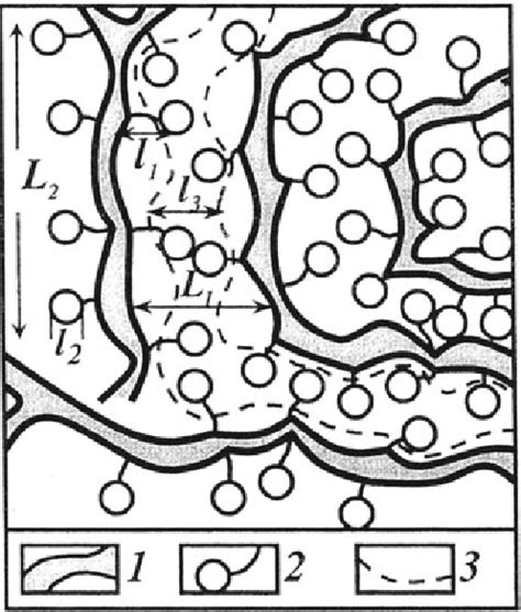 Figllre I Schematic Representation Of The Amorphous Fragment Of A Download Scientific Diagram