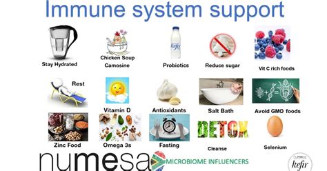 Immune System Support