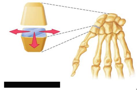 Gliding Joint Wrist