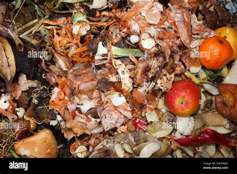 Compost Compost Heap Composting Organic Garbage Composts Compost