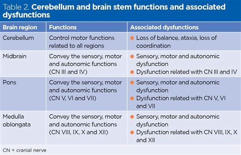 Nervous System 3 The Central And Peripheral Nervous System Ii Nursing Times