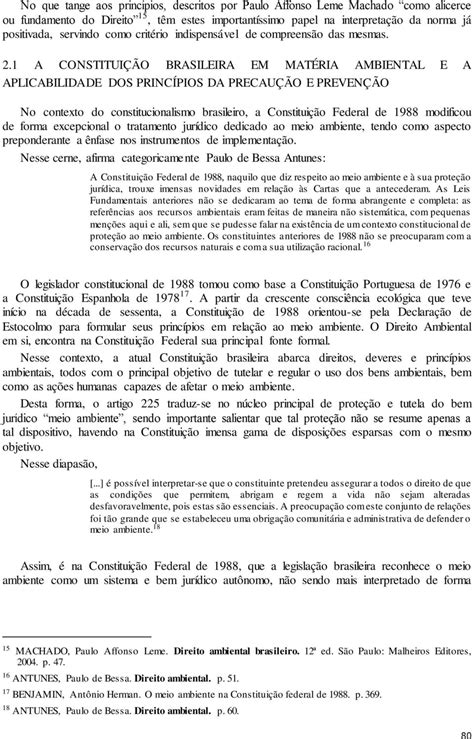 MEIO AMBIENTE E OS PRINCÍPIOS CONSTITUCIONAIS DA PRECAUÇÃO E PREVENÇÃO