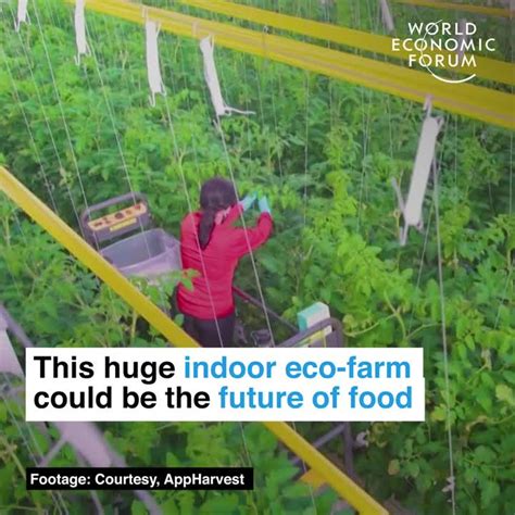 Video Mohamed Saleh Posted On Linkedin