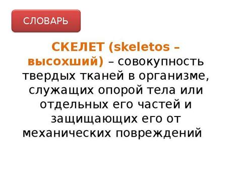 Презентация на тему Скелет скачать бесплатно презентации по
