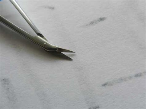 V Mueller Jacobson 25 Degree Angled Sharp Scissors Ch07450 Ringle