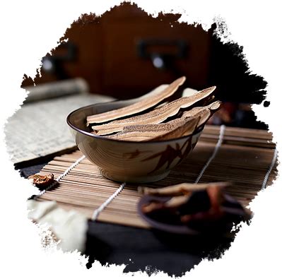 启迪药业集团股份公司 Product Innovation