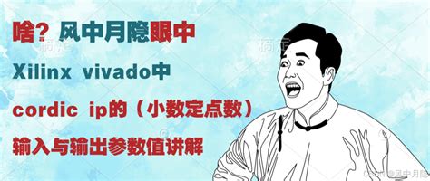 Xilinx Fpga 的vivado中cordic Ip的（定点数小数）输入与输出参数值讲解vivado Cordic Ip Csdn博客