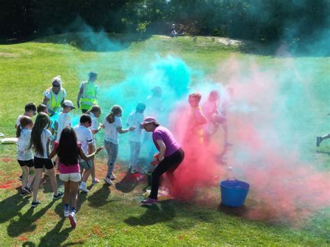 Springfield Primary School Term Dates