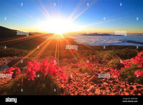 Komakusa The Morning Sun Mt Yagatake And Other Mountains And Sea Of