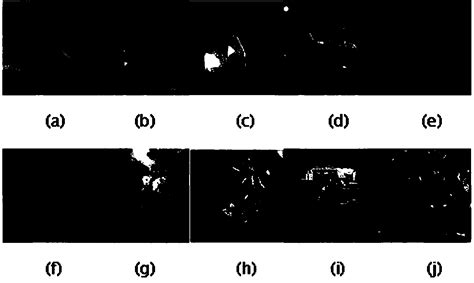 Method For Estimating Image Gaussian Noise Based On Combination Entropy Detection Eureka Patsnap