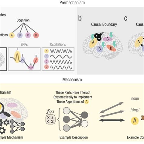 Stages Of Research In Explaining Cognition In The Brain Neural Download Scientific Diagram