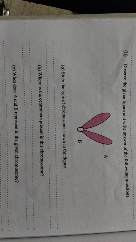 Ii Observe The Given Figure And Write Answer Of The Following Questions