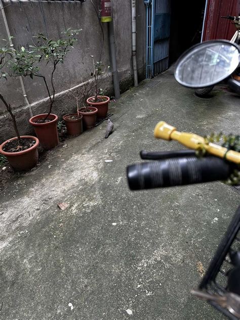 閒聊 家門不悻悻圖y2b Lcoffee的創作 巴哈姆特